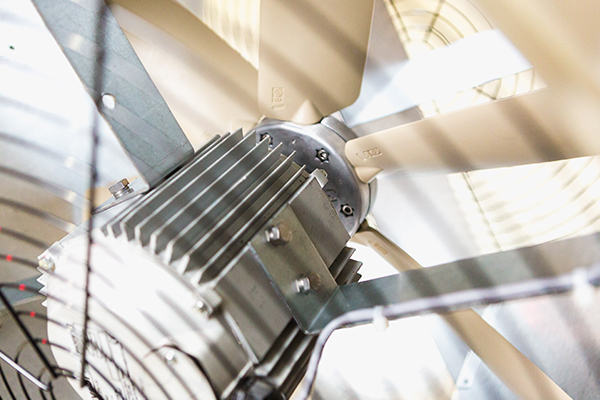 Energy Efficient Fans Are Bringing Benefits To Growers - Hydor