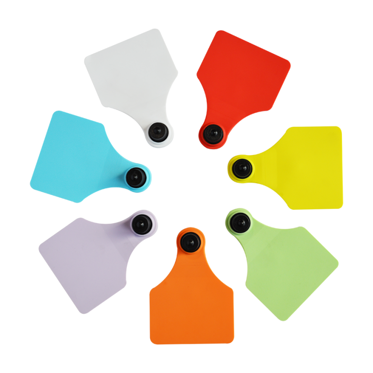 Allflex Tag Female Large | EG Agri