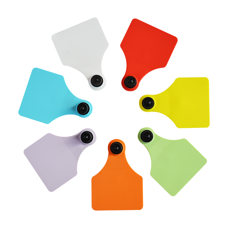 Allflex Tag Female Large | All Agri