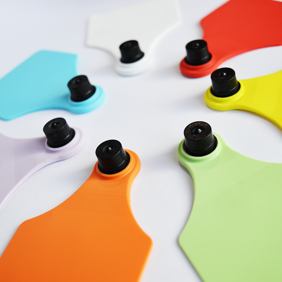 Allflex Tag Female Large | All Agri